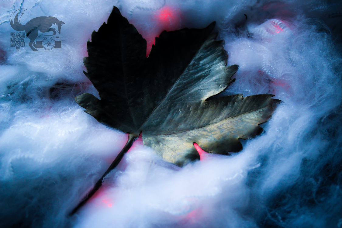 Fox's Fire Forge - SERC